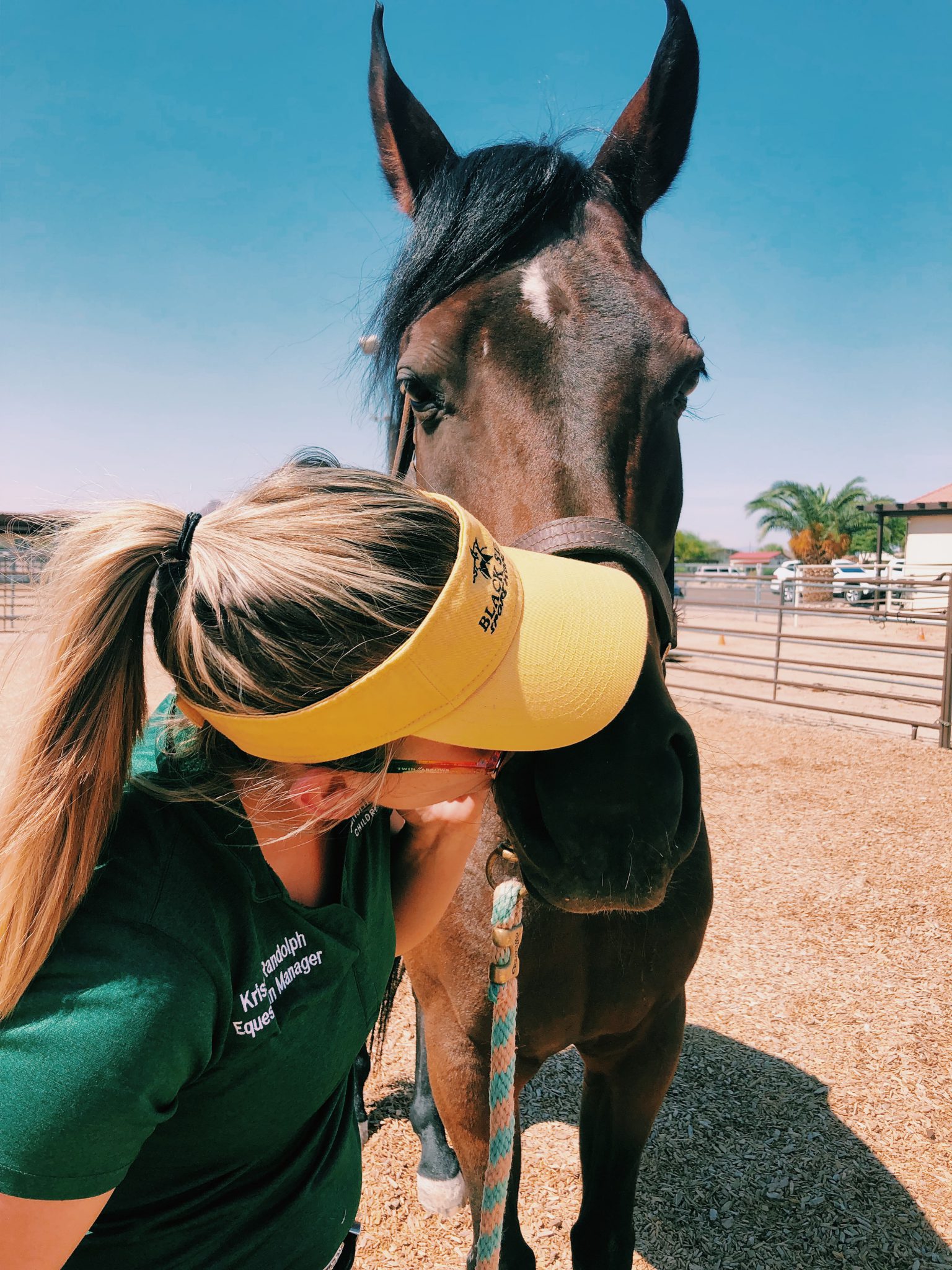 Horse Program – Sunshine Acres Children's Home